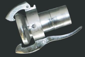 ACOPLAMENTOS DE PERROT fêmea