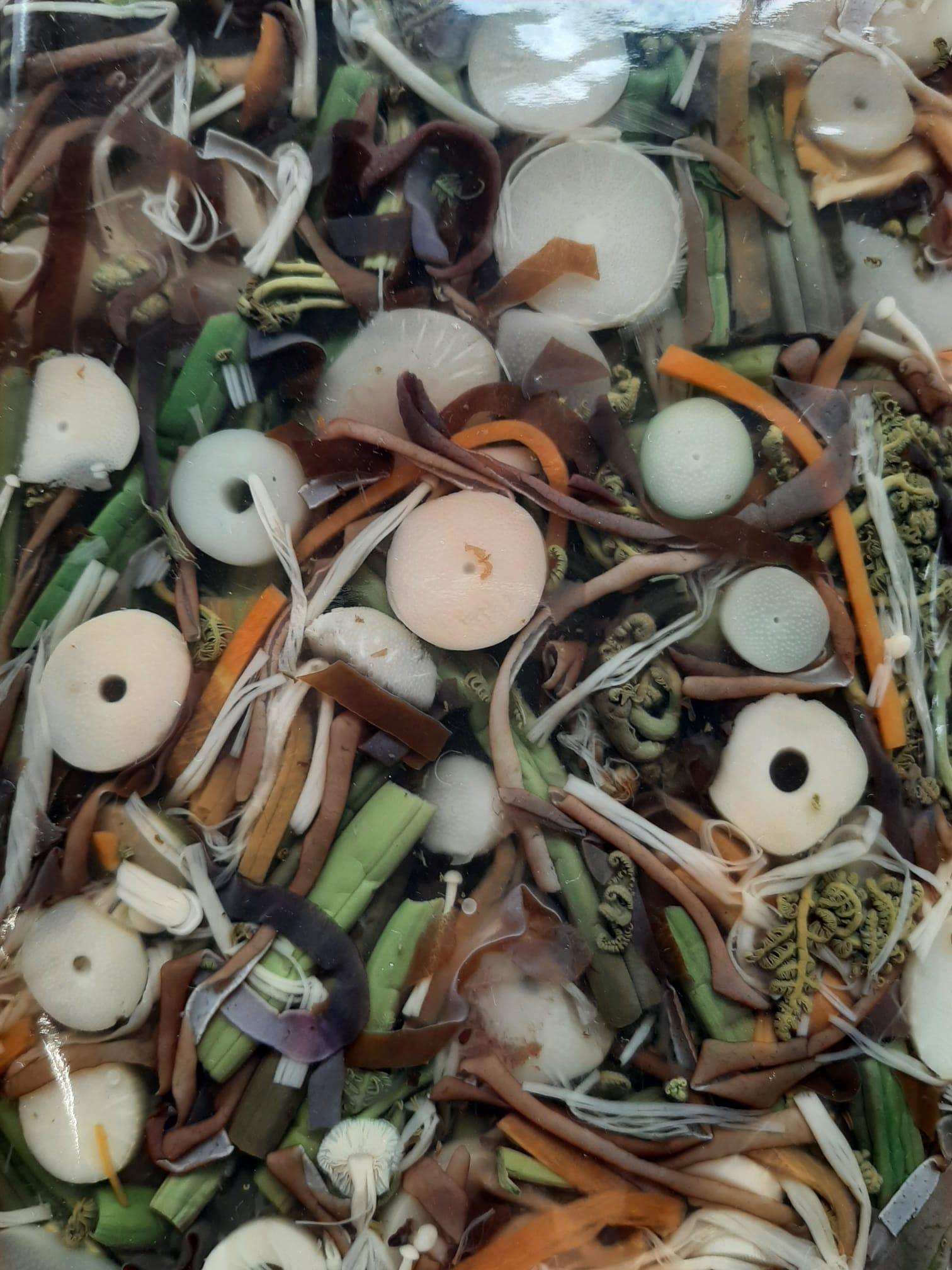 SANSAI MIZUNI Legumes da Montanha cozidos 300g